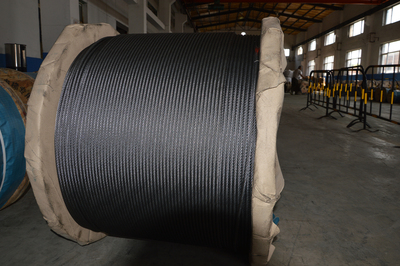 天津静双海翔电梯部件有限公司