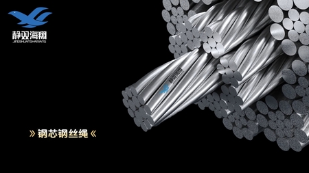 天津静双海翔电梯部件有限公司